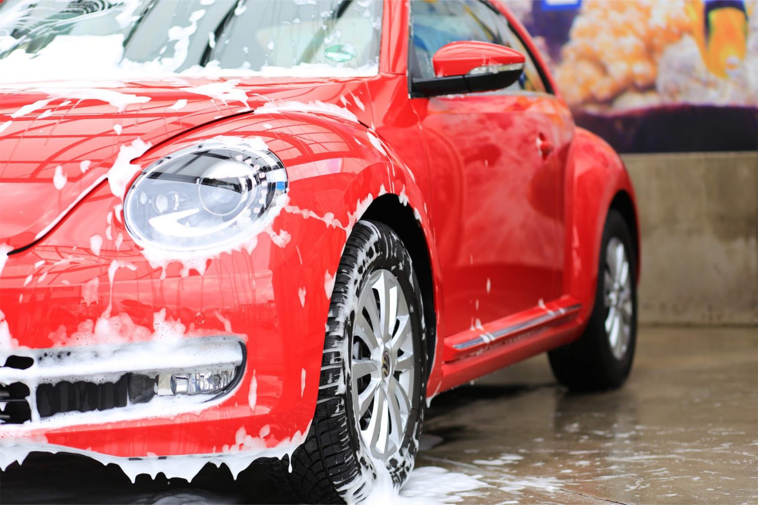 Programme – COSY WASCH