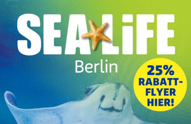 COSY WASCH – Autowäsche auf hohem Niveau seit 1966